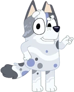 And Bluey! Wiki | Fandom