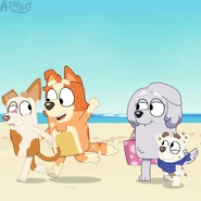 Bingo Heeler | And Bluey! Wiki | Fandom