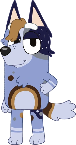 Socks Heeler | And Bluey! Wiki | Fandom