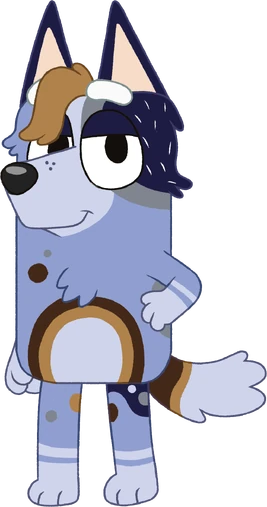 Socks Heeler | And Bluey! Wiki | Fandom