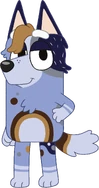 And Bluey! Wiki | Fandom