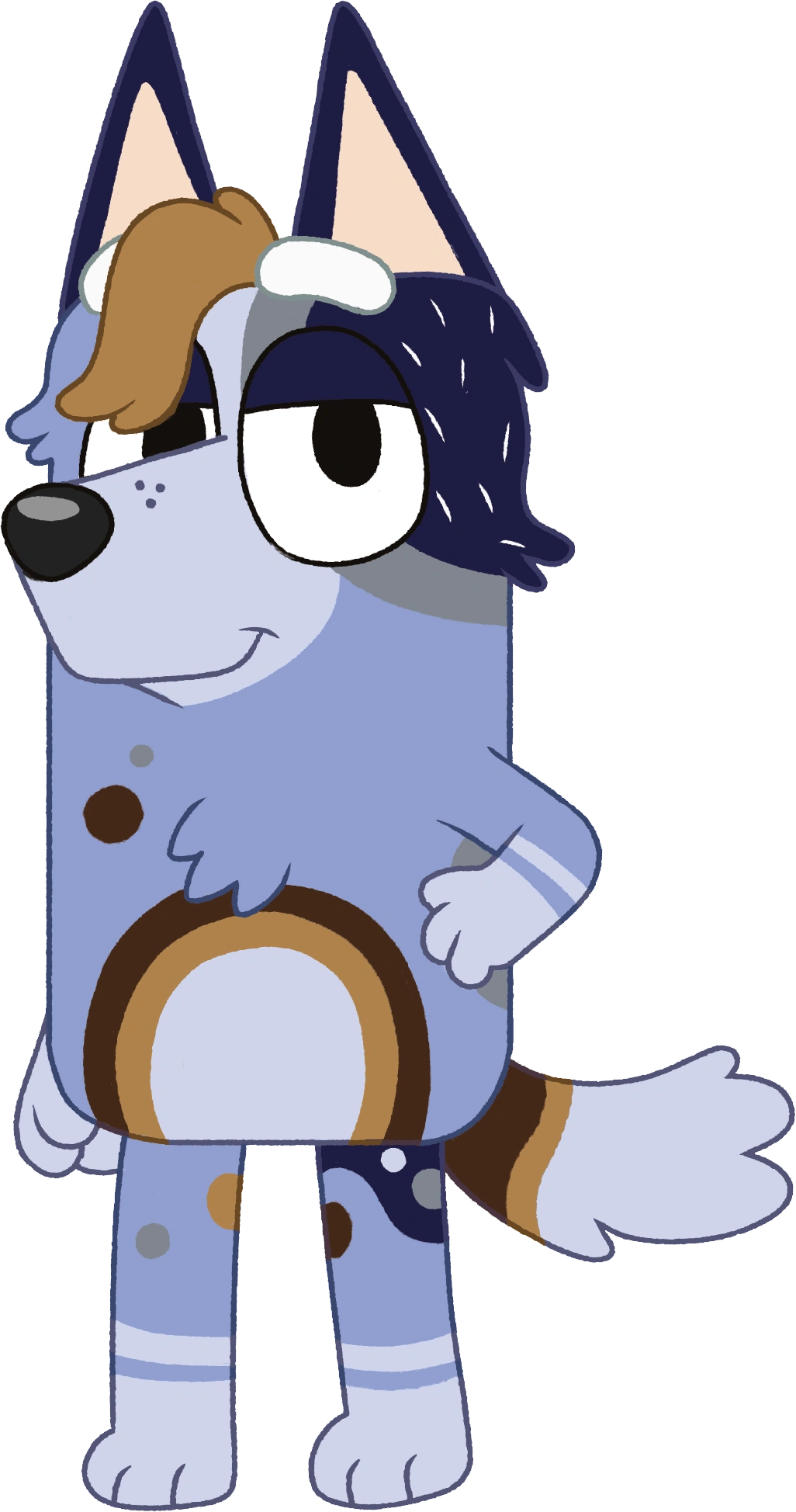 Socks Heeler | And Bluey! Wiki | Fandom