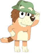 And Bluey! Wiki | Fandom