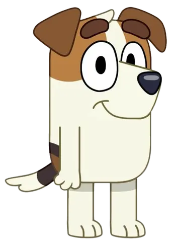 Jack Russell | And Bluey! Wiki | Fandom