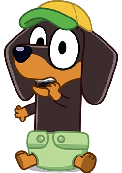 Snickers Dachshund | And Bluey! Wiki | Fandom