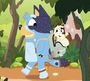 Bluey Heeler | And Bluey! Wiki | Fandom