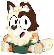 And Bluey! Wiki | Fandom