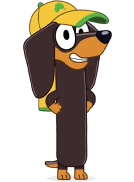 Snickers Dachshund | And Bluey! Wiki | Fandom