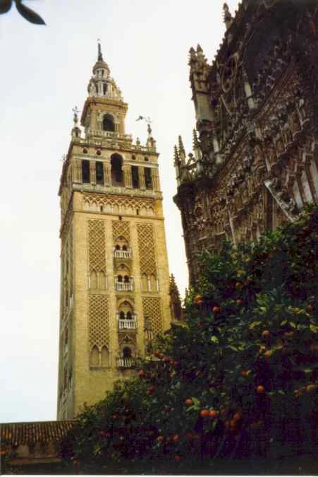 Hirarda | Andalu | Fandom