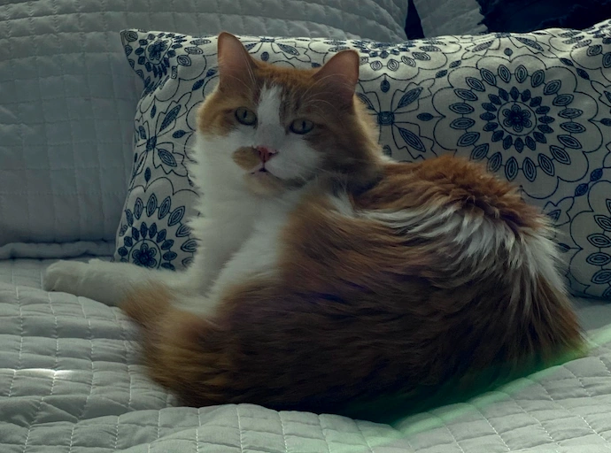 Gunther | Petpedia | Fandom