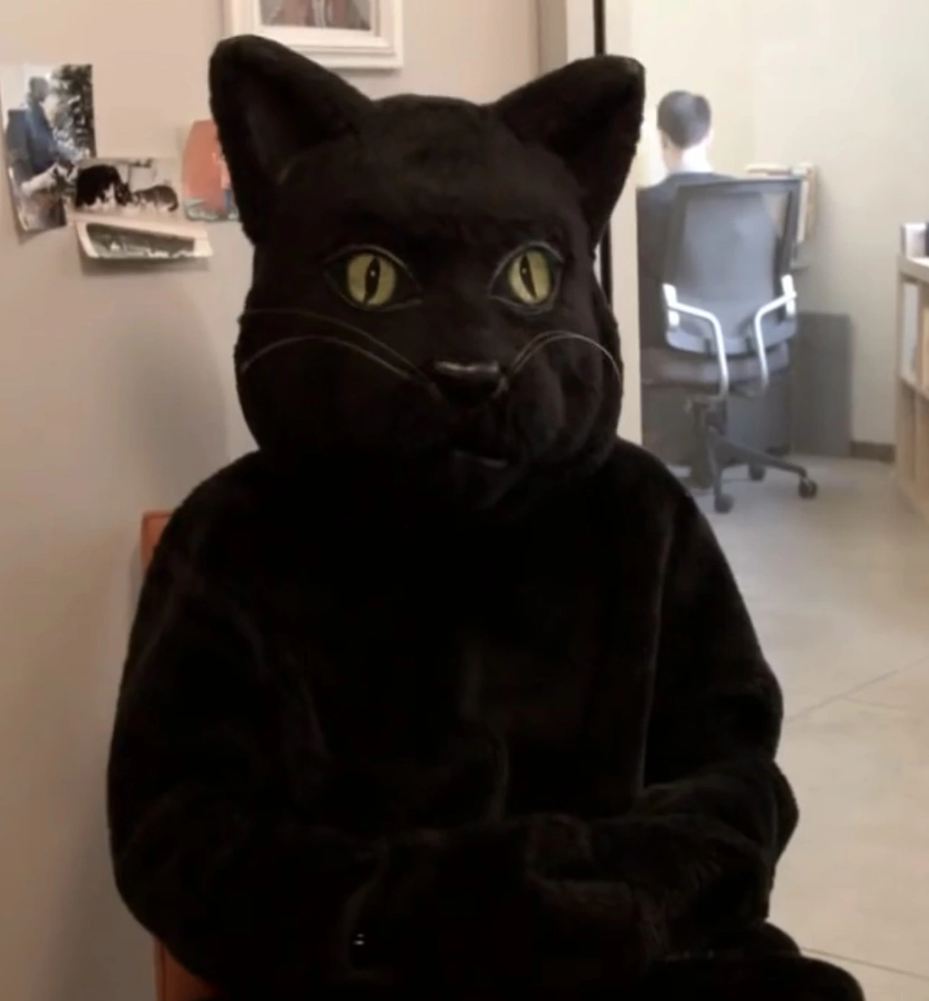 Benjamin the Cat | Andrew & Heidi Wiki | Fandom