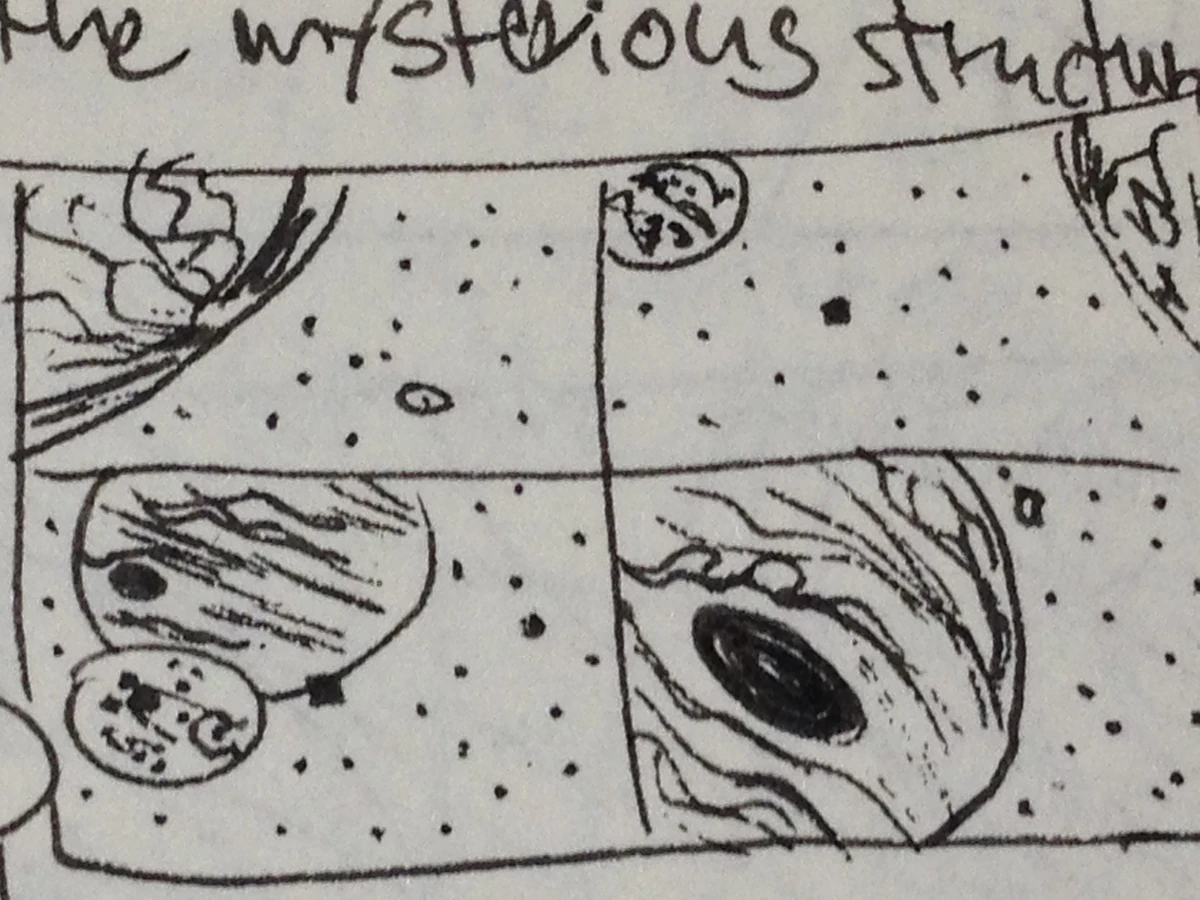 Juno Probe | Andrew's Universe Wiki | Fandom