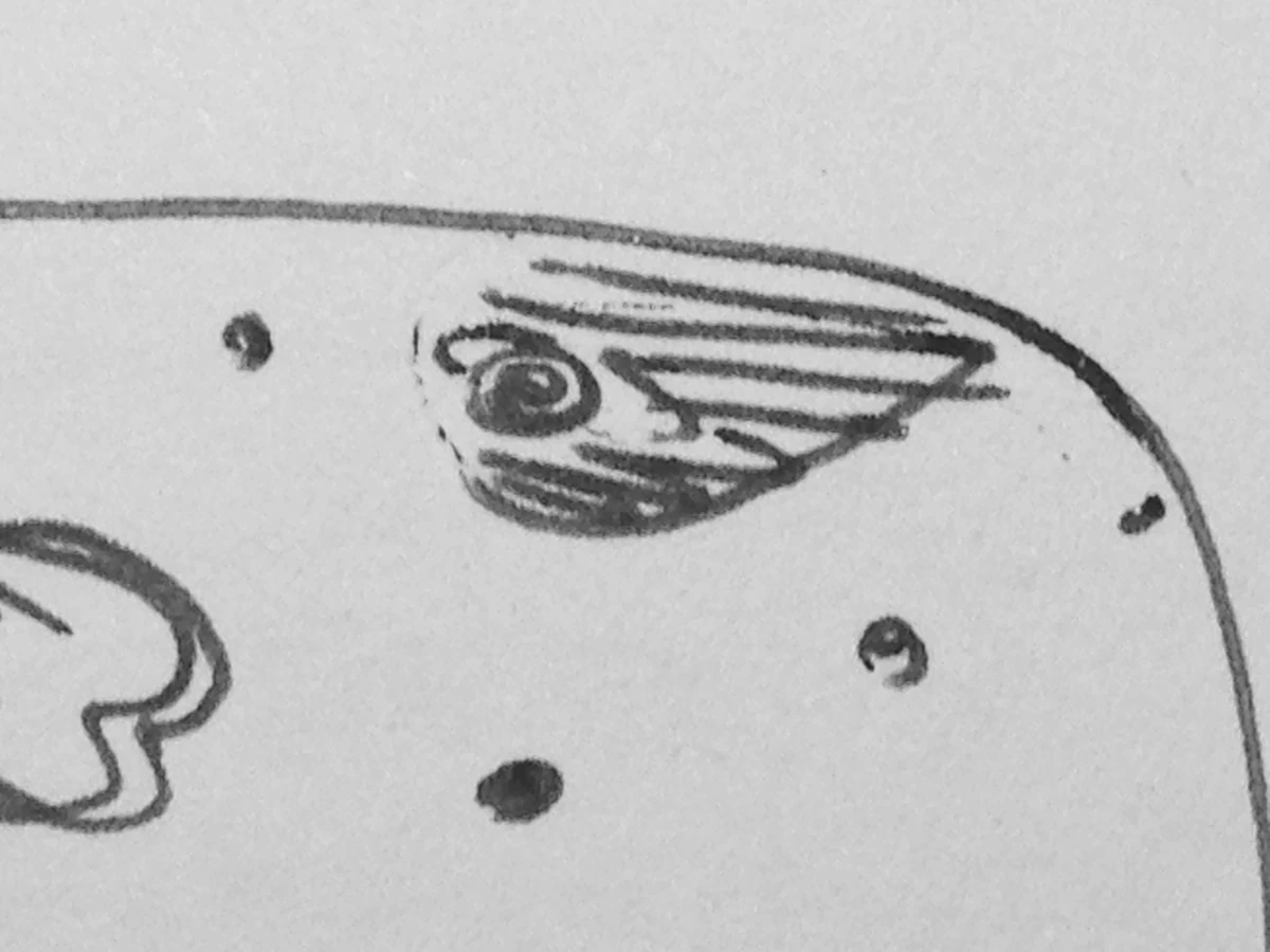 Callisto | Andrew's Universe Wiki | Fandom