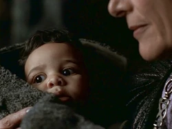 Immaculate Perception | The New Systems Commonwealth Wiki | Fandom