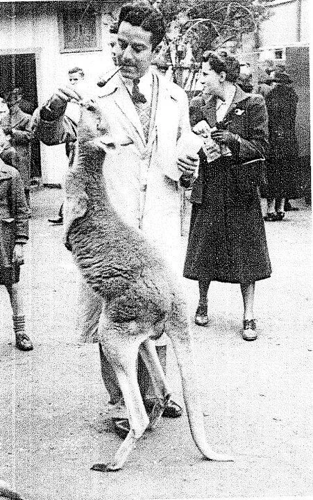 Joseph (George) Saul Haim Marshall | Anemptyglass Wikia | Fandom