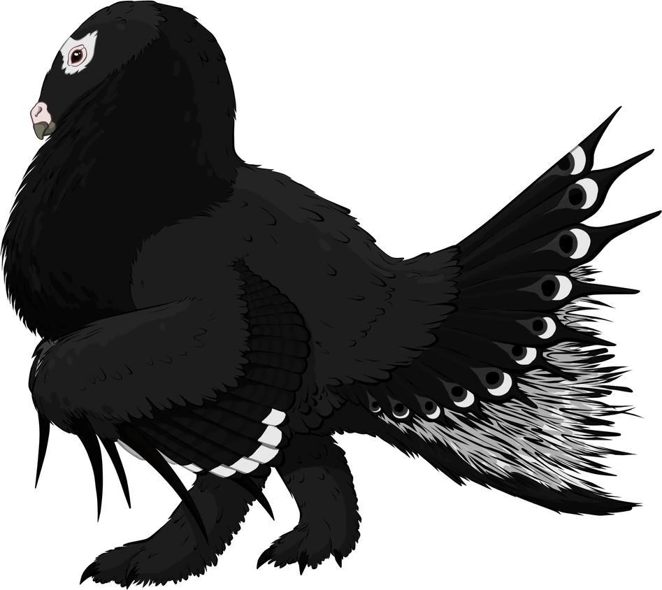 Tarky | Mondo di Aneroth Wiki | Fandom