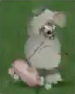 Ooh La La | AngelaAnaconda Wiki | Fandom