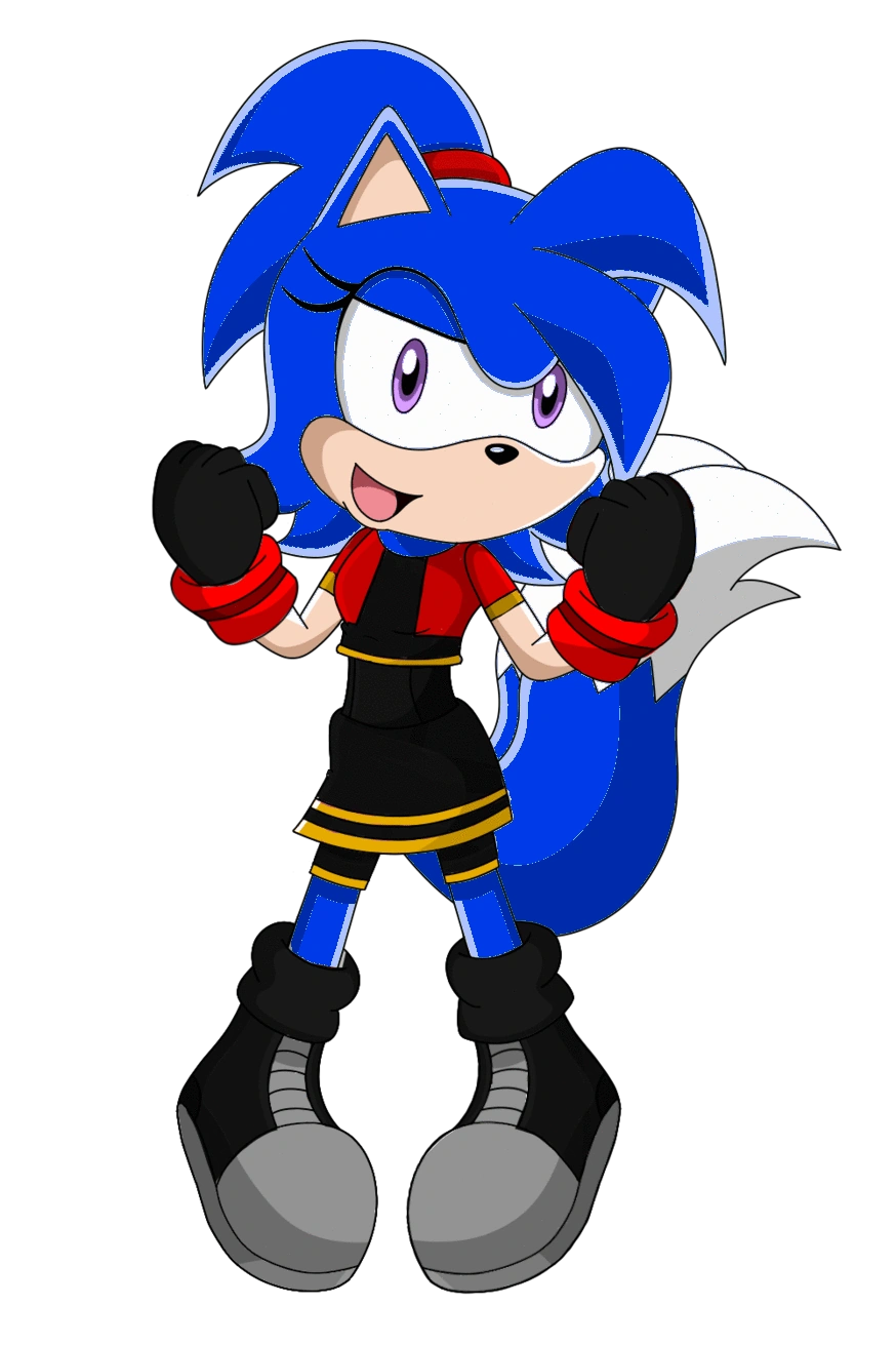 SKT the Hedgefox | Angelhog Productions Wiki | Fandom