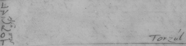 Torzul | The Angelical Language Wiki | Fandom