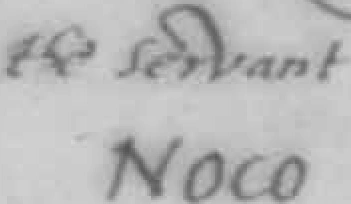 Noco | The Angelical Language Wiki | Fandom