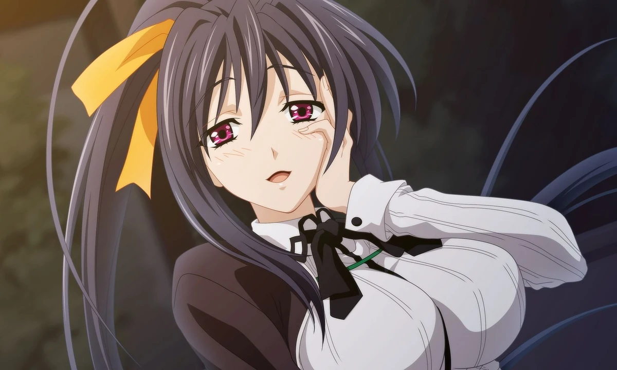 Akeno Himejima | Angels Wiki | Fandom
