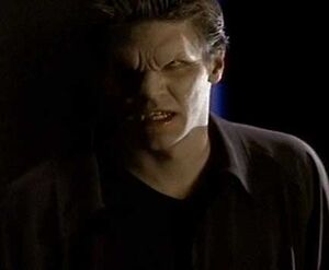 Angel | Angel Wiki | Fandom