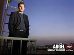 Angel Wiki | Fandom