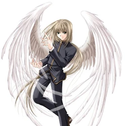 Angel Feathers Anime