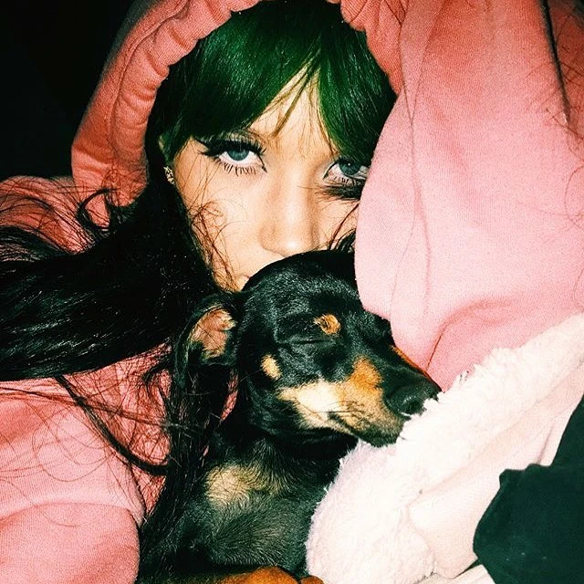 Poopi | Ängie Wiki | Fandom