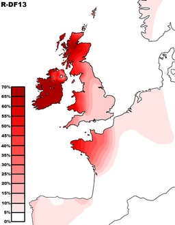 Onefold-cluster R-L21 | The Anglish Moot | Fandom