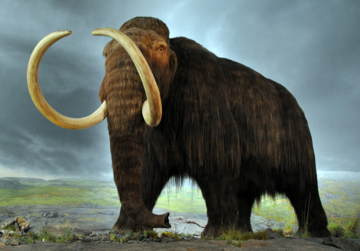 Furelpend | The Anglish Moot | Fandom