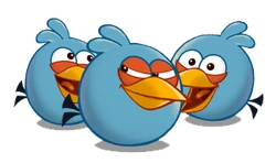 Jim, Jake et Jay | Wiki Angry Birds | Fandom