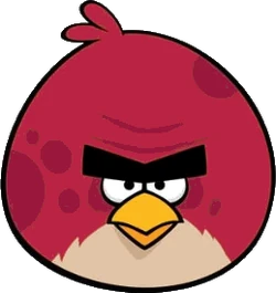 Terrence | Wiki Angry Birds | Fandom