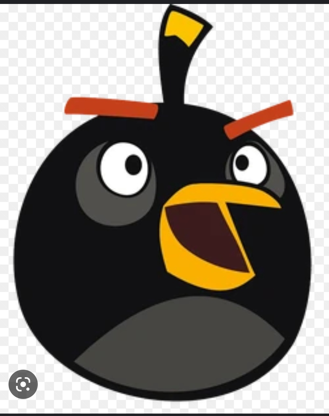Bomb Angry Birds Fandon Wiki Fandom
