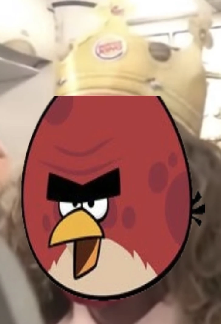Wonderful and accepting terence | Angry birds oc Wiki | Fandom
