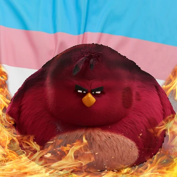 Transphobic Terrance | Angry birds oc Wiki | Fandom