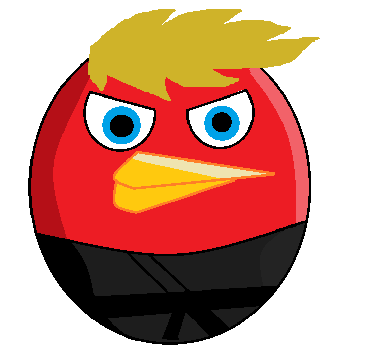 Raidon Skywalker | Angry Birds Custom Wiki | Fandom