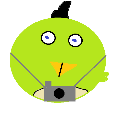 Toron | Angry Birds Custom Wiki | Fandom