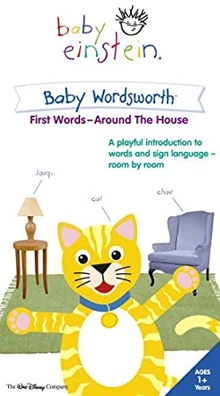 Baby Einstein: Baby Wordsworth First Words Around the House (2005 VHS ...