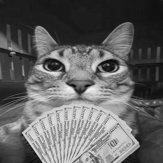 ROB1K | Angry Neighbor вики | Fandom