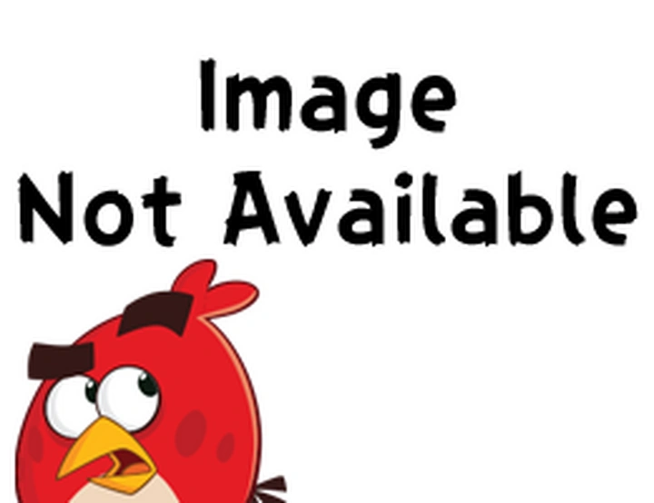 Sonic the Hedgehog | Angry Birds Wiki | Fandom
