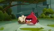 Red | Angry Birds Wiki | Fandom