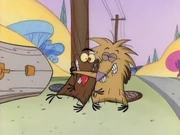 Norbert's relationships | The Angry Beavers Wiki | Fandom