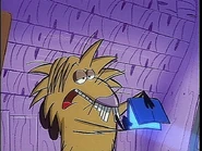 List of species | The Angry Beavers Wiki | Fandom