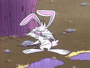 List of species | The Angry Beavers Wiki | Fandom