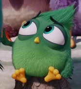 Timothy/Gallery | Angry Birds Wiki | Fandom