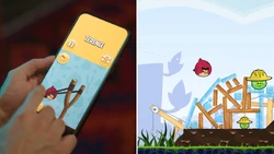 Angry Birds Flock Party | Angry Birds Wiki | Fandom