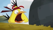 Chucked Out | Angry Birds Wiki | Fandom