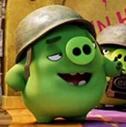 Rodney Pig | Angry Birds Wiki | Fandom
