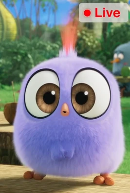 Buddy (Movie) | Angry Birds Wiki | Fandom